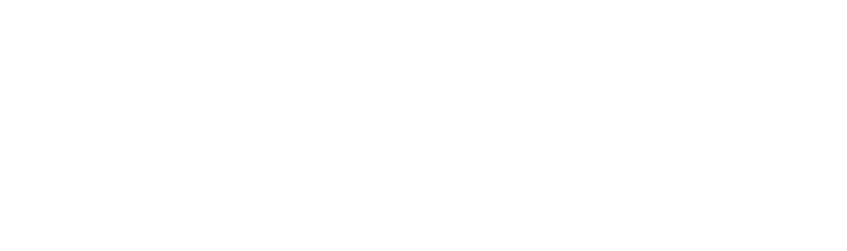 Visor X - VAUBAN SYSTEMS®